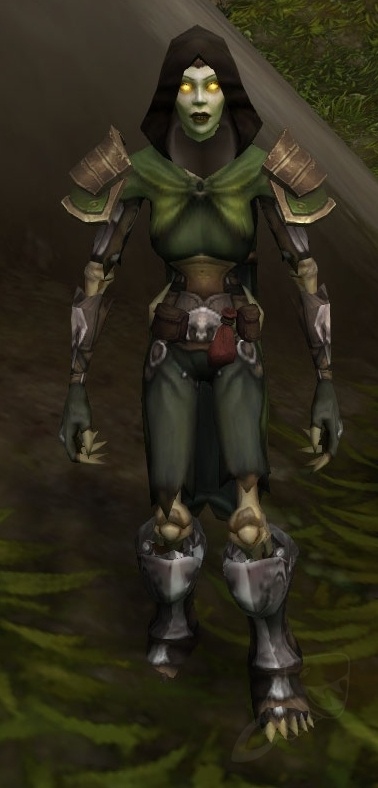 Unseen Path Ranger - NPC - World of Warcraft