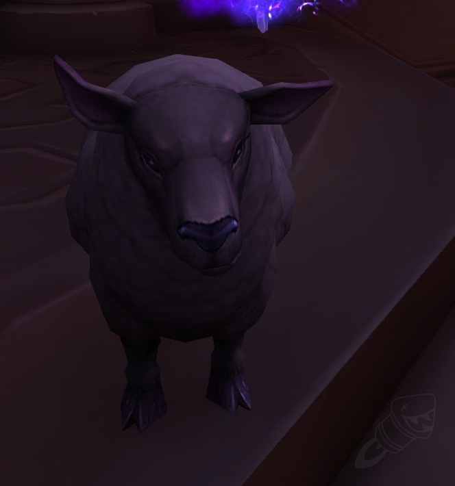 Volatile Sheep - NPC - World of Warcraft