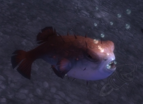 Pez roca - PNJ - World of Warcraft