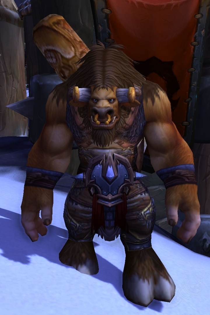Olin Piel Parda - PNJ - World of Warcraft