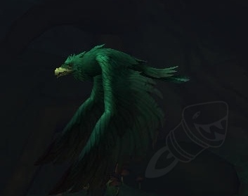 Tillo - NPC - World of Warcraft