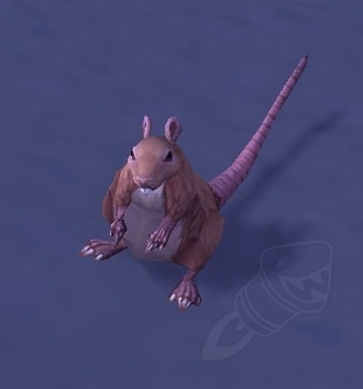 Rat - NPC - World of Warcraft