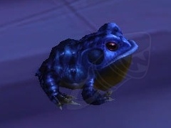 Glitterpool Frog - NPC - World of Warcraft