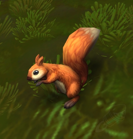 Grizzly Squirrel - NPC - World of Warcraft