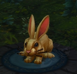 Cute Bunny - NPC - World of Warcraft