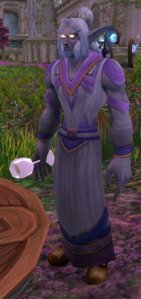 Dignatario Darnassiano Pnj World Of Warcraft