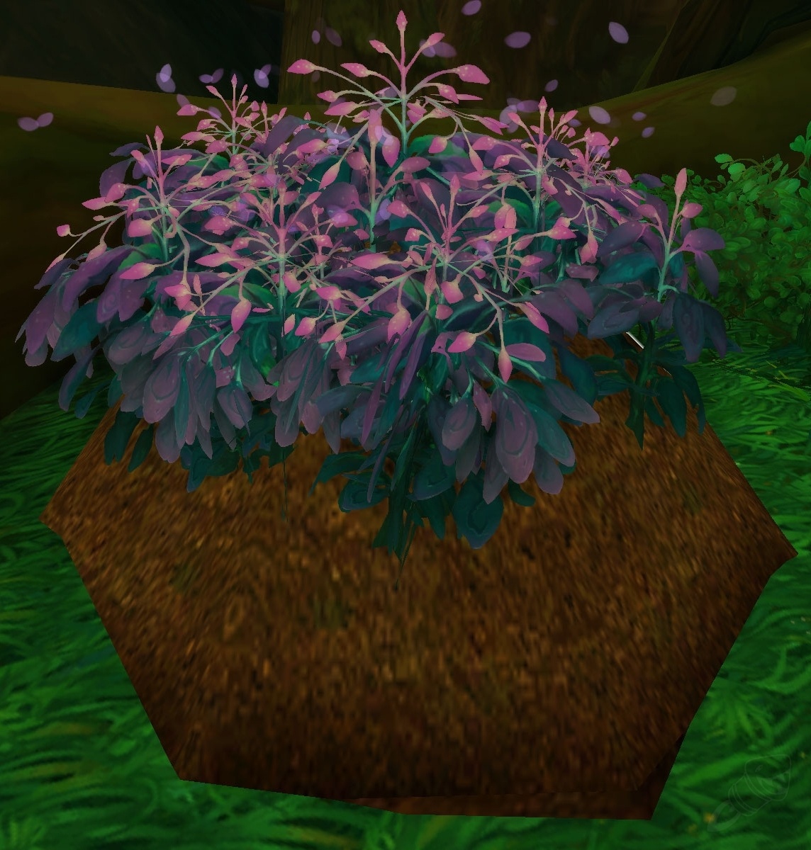 Dreamleaf Cluster - NPC - World of Warcraft