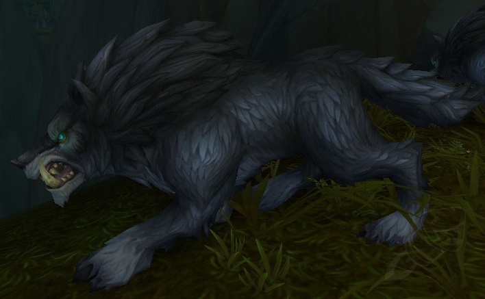 Huargo de Cima de la Tormenta - PNJ - World of Warcraft