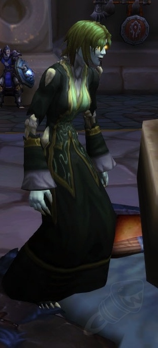 Advisor Stillwater - NPC - World of Warcraft