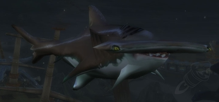 Isle Hammerhead - NPC - World of Warcraft
