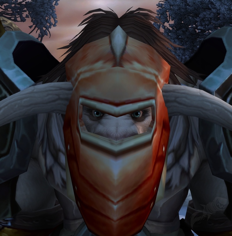 Reinforced Heaume - Item - World of Warcraft