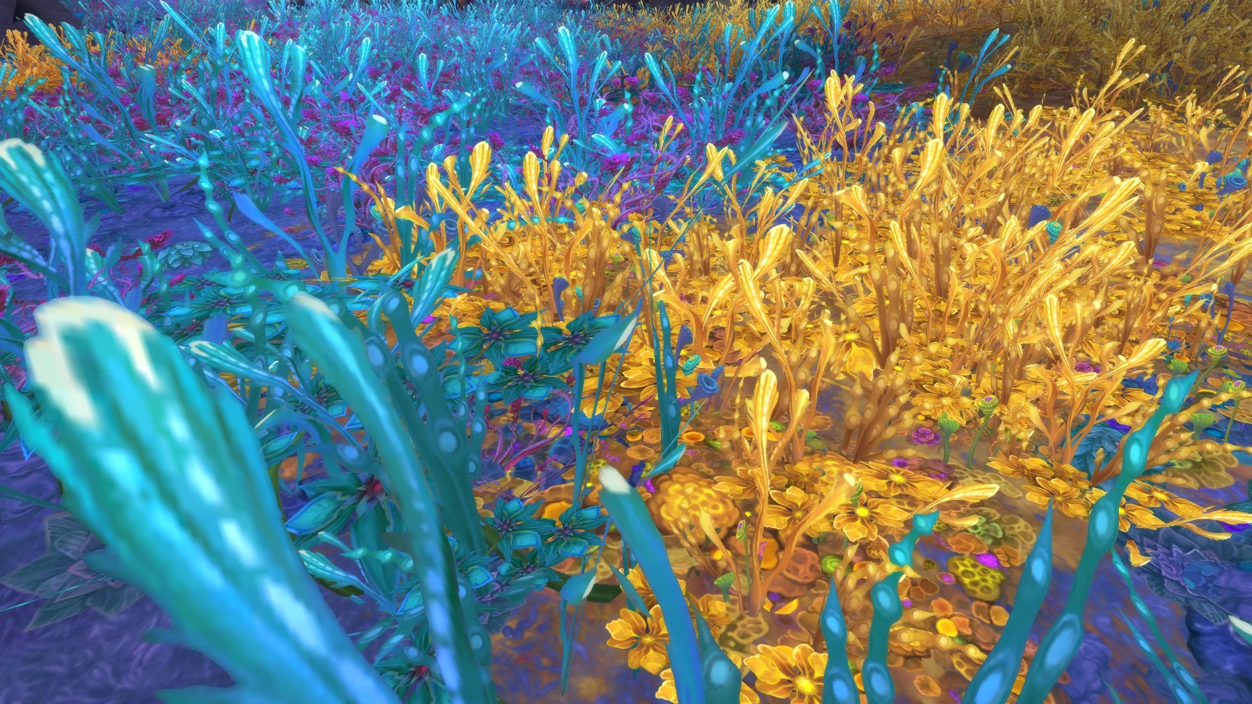 Test Gallery - Gallery - World of Warcraft