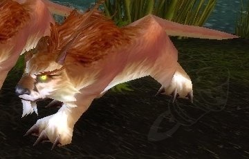 Amani Lynx - NPC - World of Warcraft