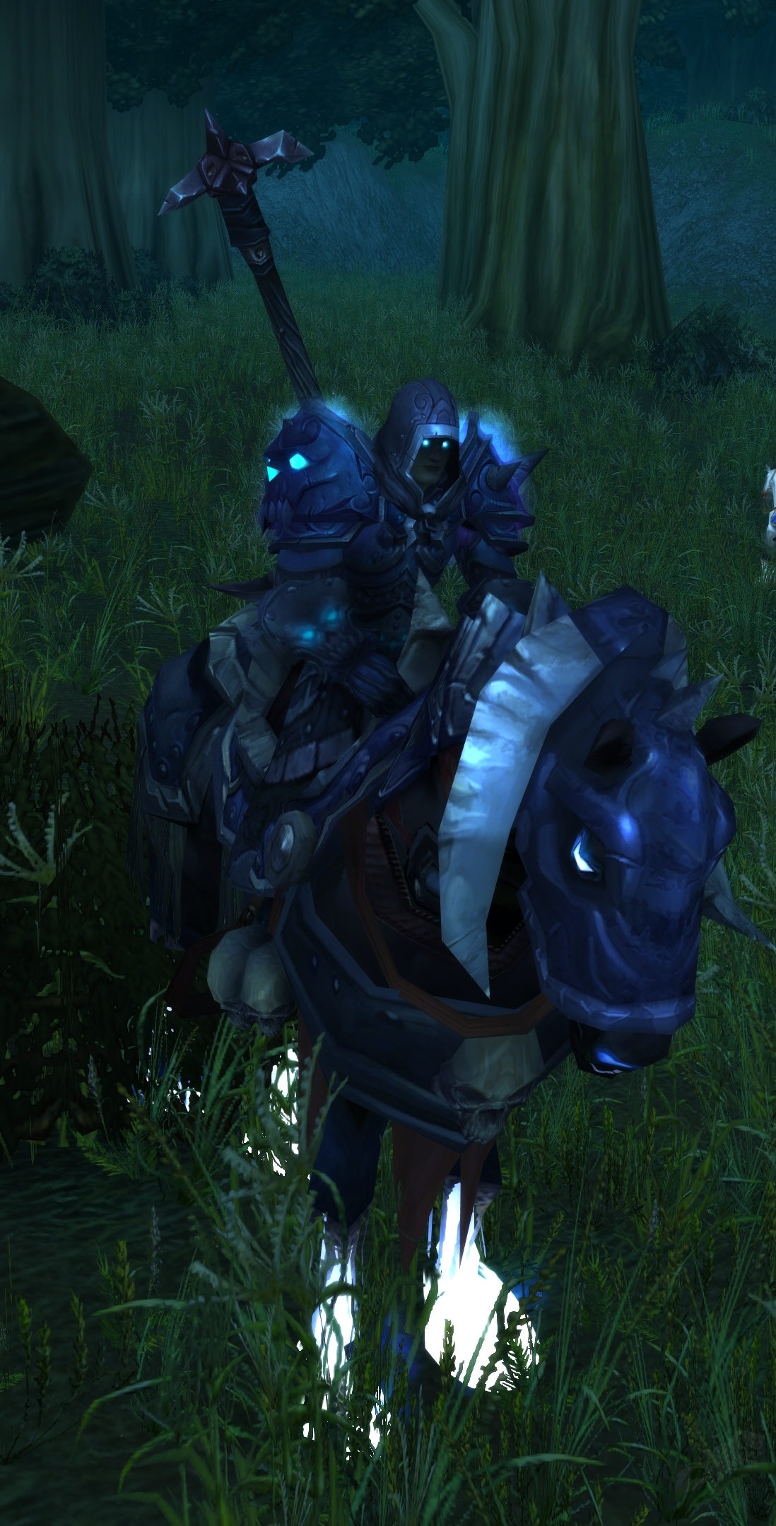 Cavalier noir - PNJ - World of Warcraft