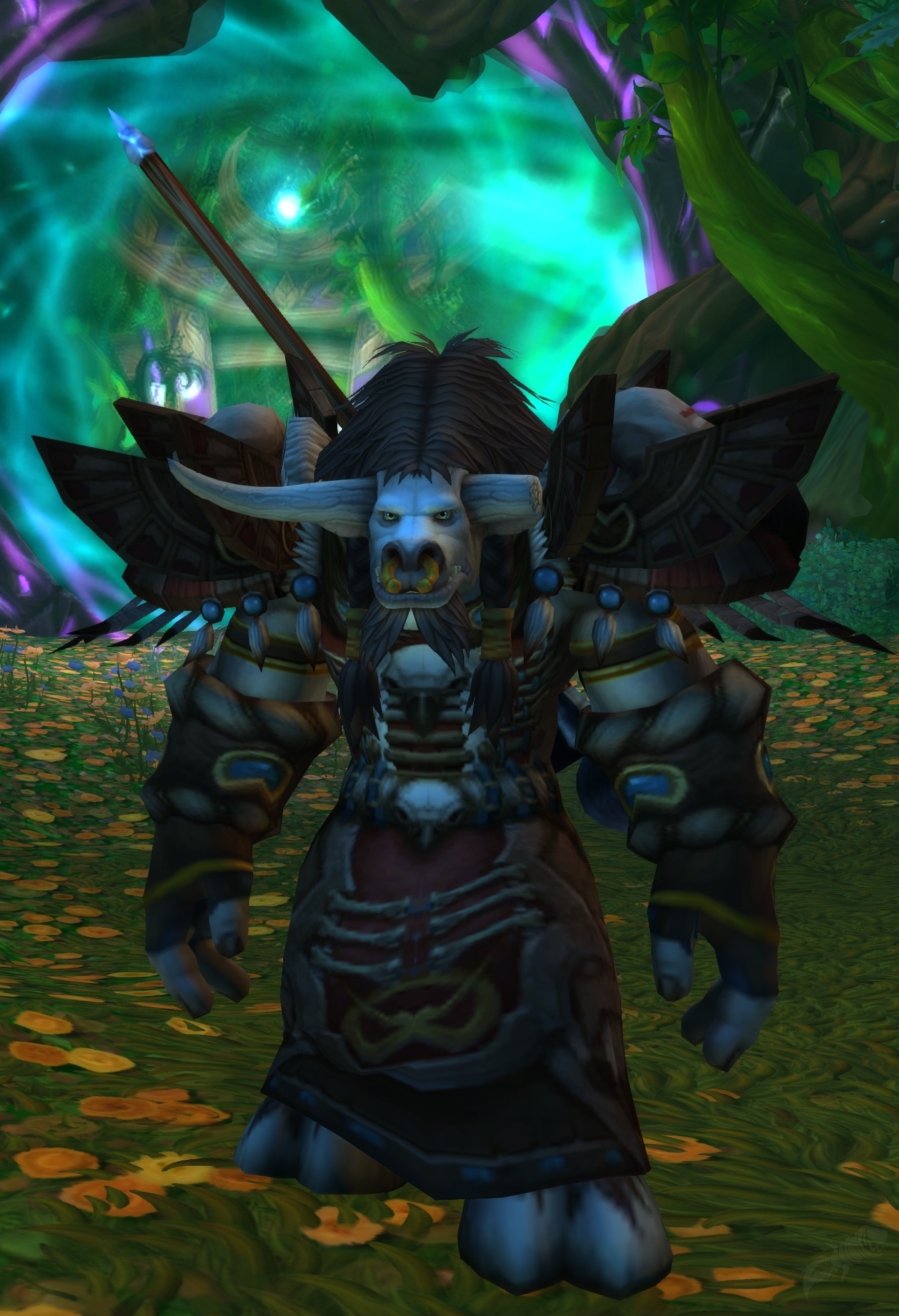 Archidruide Hamuul Totem-Runique - PNJ - World of Warcraft