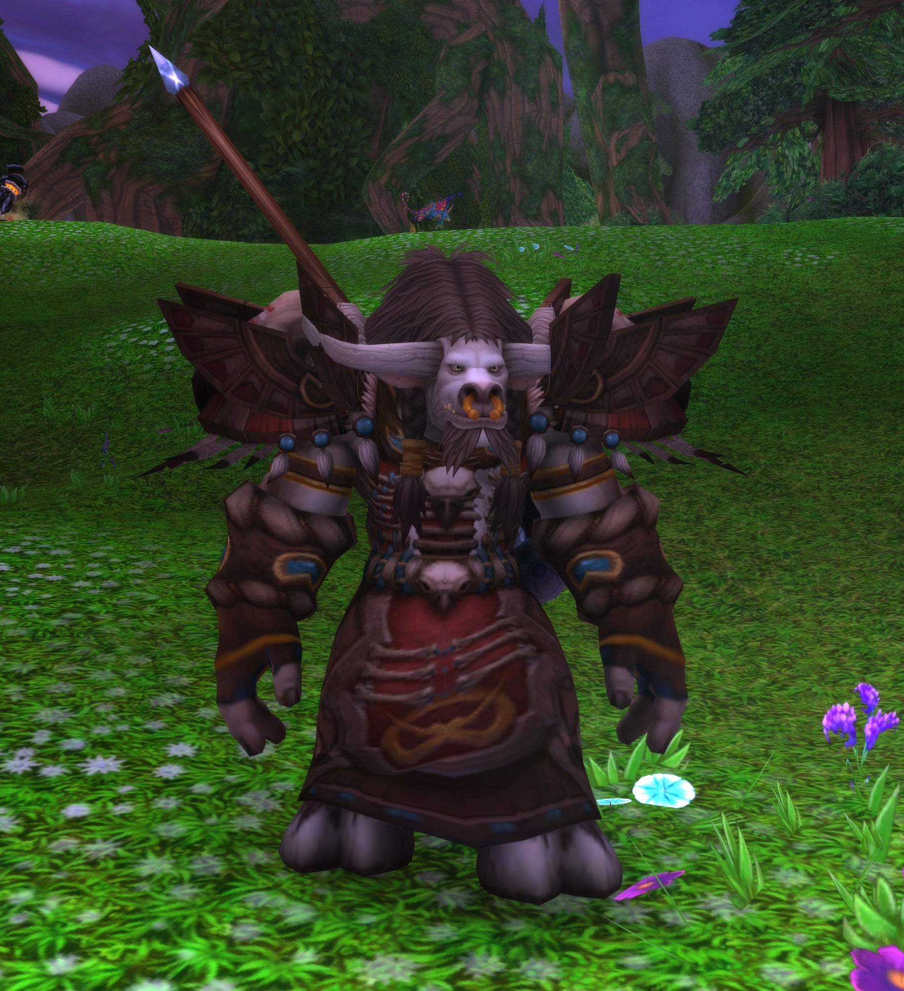 Archidruide Hamuul Totem-Runique - PNJ - World of Warcraft