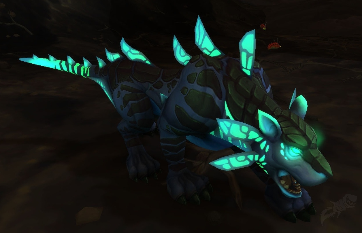 Duskcloak Panthara - NPC - World of Warcraft