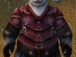 Cinderstitch Tunic - Item - World of Warcraft