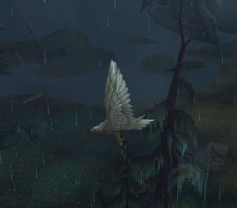 Storm Hawk - NPC - World of Warcraft