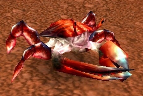 Surf Crawler - NPC - Cataclysm Classic