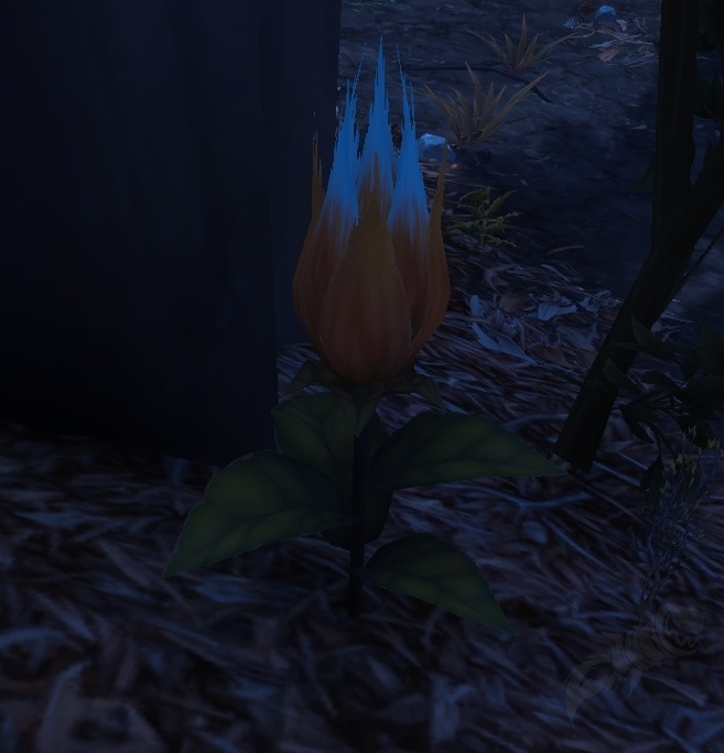 Foxflower - Object - World of Warcraft