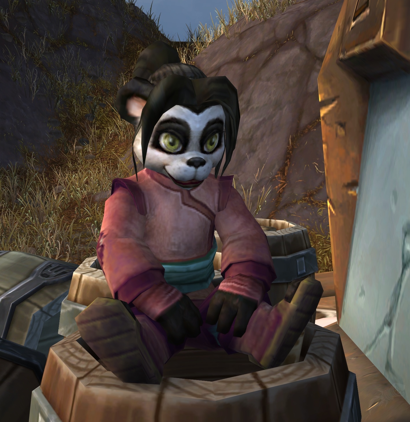 Li Li Brune d'Orage - PNJ - World of Warcraft