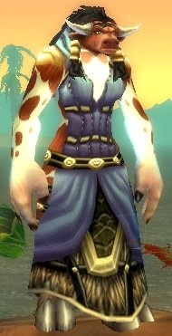 Toga Cielo Nocturno - Objeto - World of Warcraft