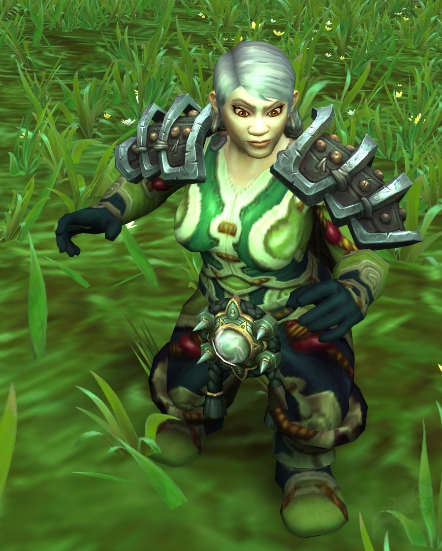 Ox Style Master - NPC - World of Warcraft