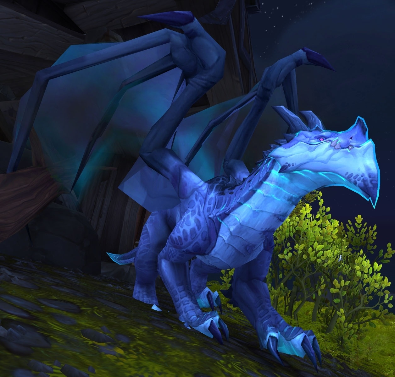 Draco de tormenta joven - PNJ - World of Warcraft