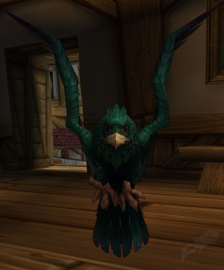 Garra Negra - PNJ - World of Warcraft