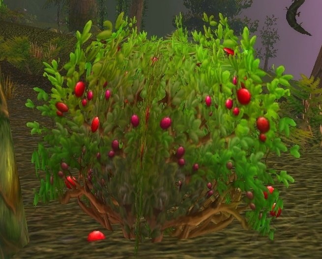 Mana Berry Bush - Object - World of Warcraft