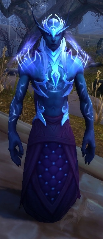 Nightborne Animator - NPC - World of Warcraft