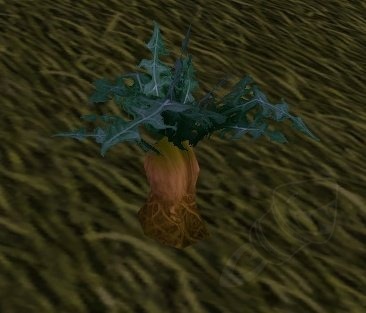 Sansam dorado - Objeto - World of Warcraft