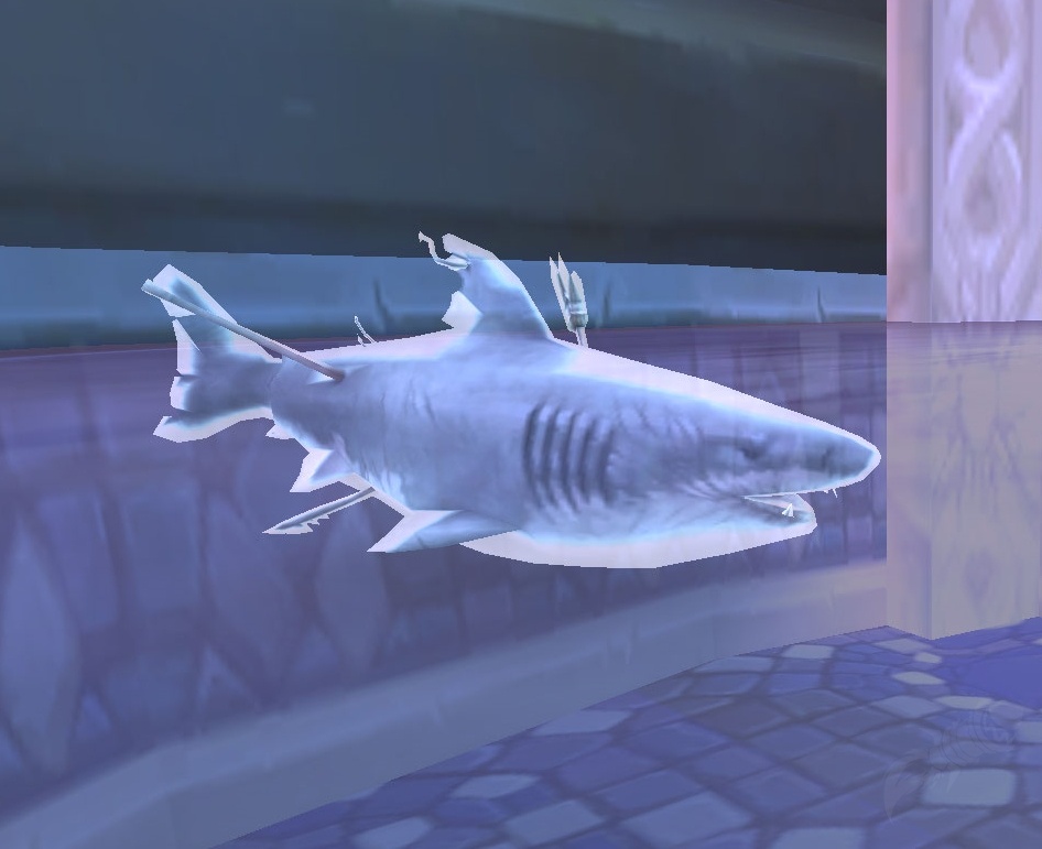 Requin fantôme - PNJ - World of Warcraft