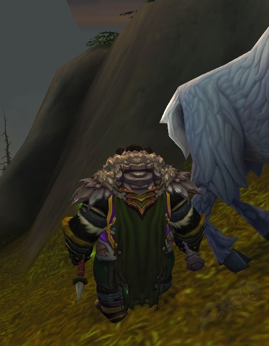 Windwhipped Greatcloak - Item - World of Warcraft