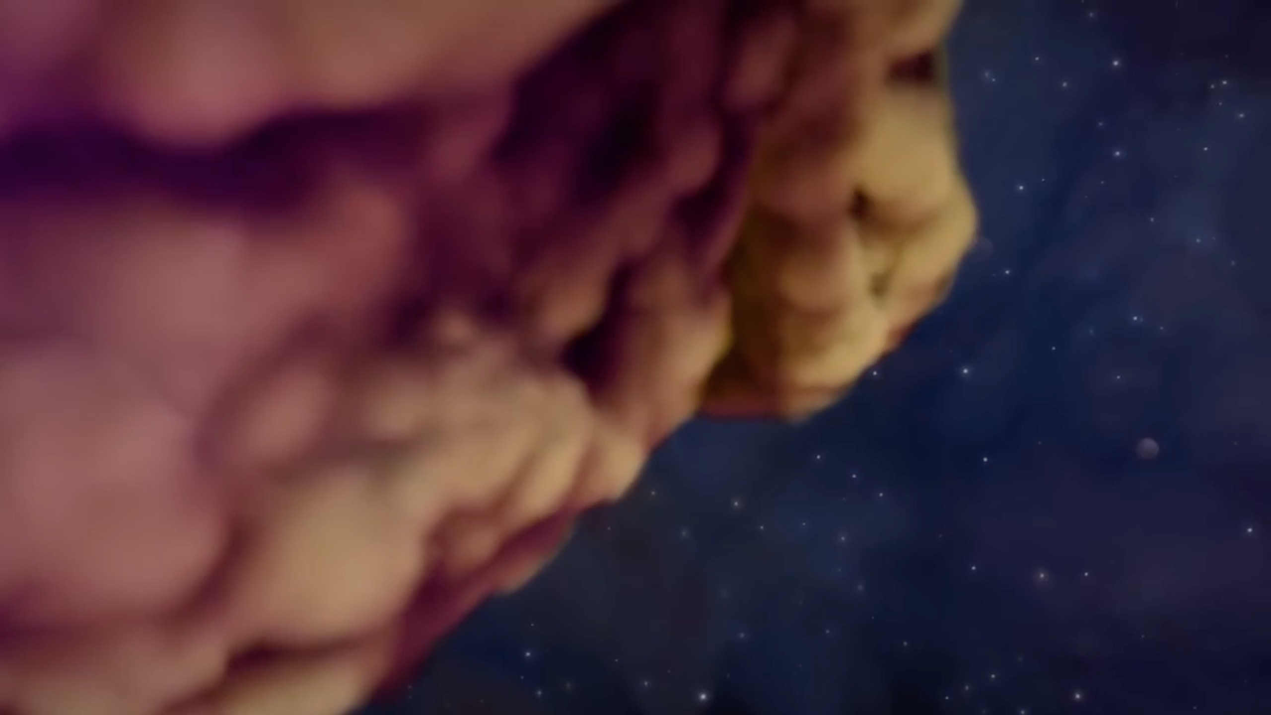 antorus cinematic - Gallery - WotLK Classic