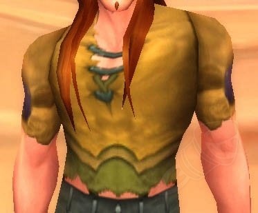 Fine Leather Tunic - Item - WotLK Classic