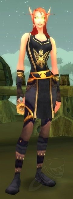 Scryer Reveler - NPC - WotLK Classic