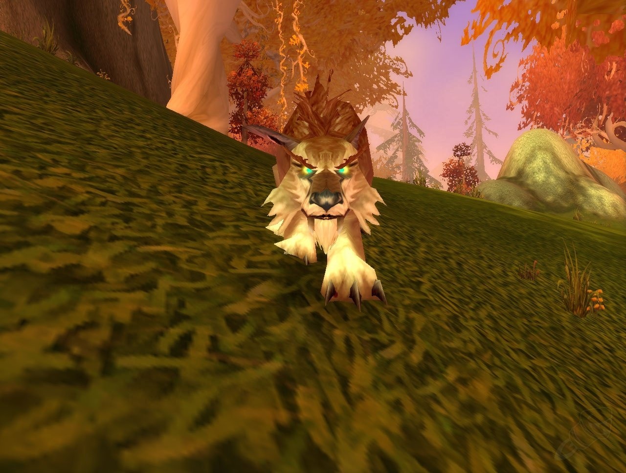 Elder Springpaw - NPC - WotLK Classic