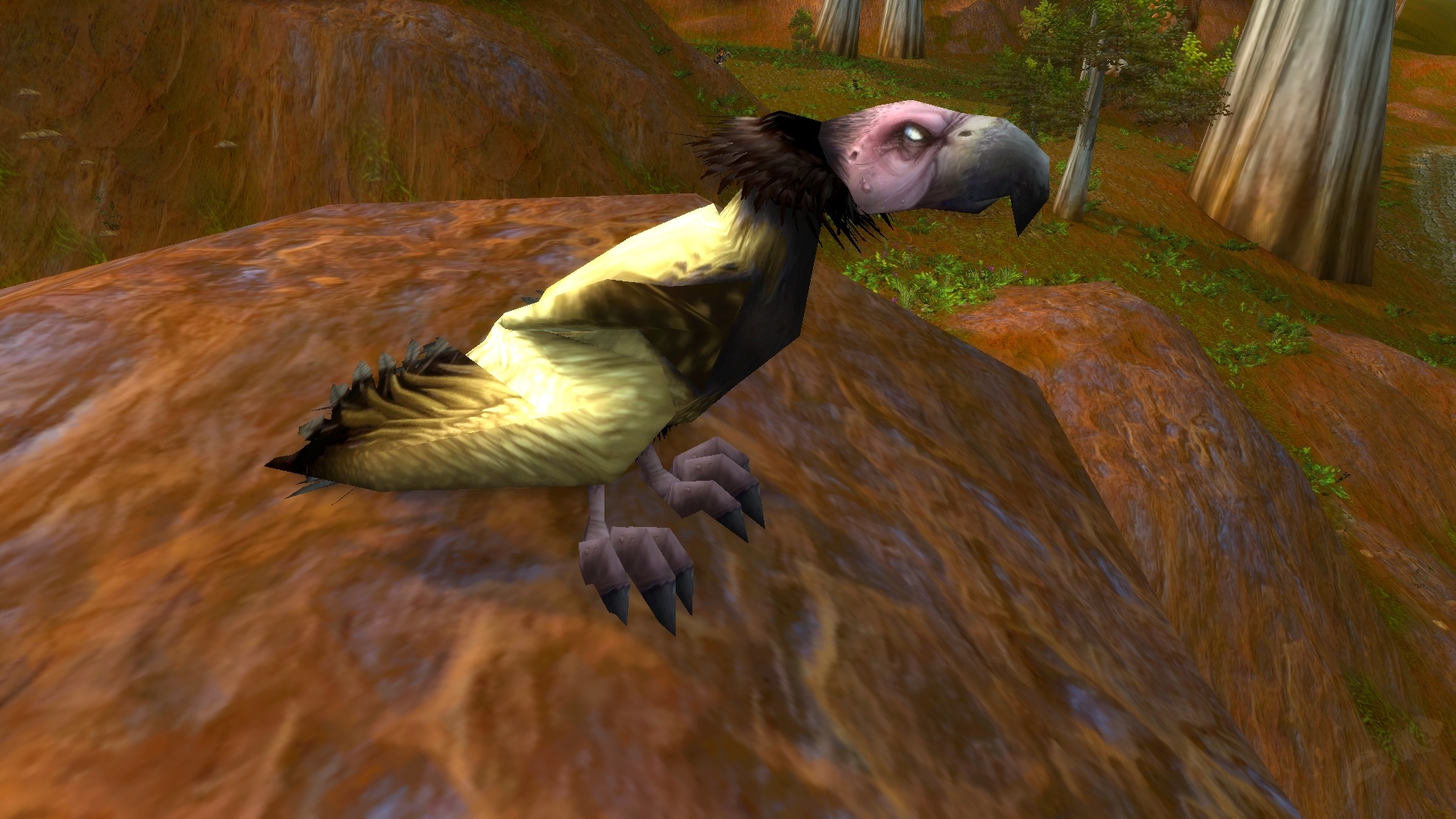 Condor redoutable - PNJ - World of Warcraft