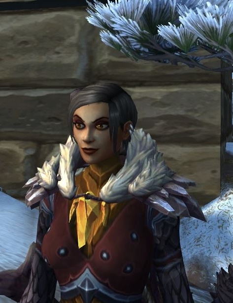Valarjar Runepriest's Vesture - Item - World of Warcraft