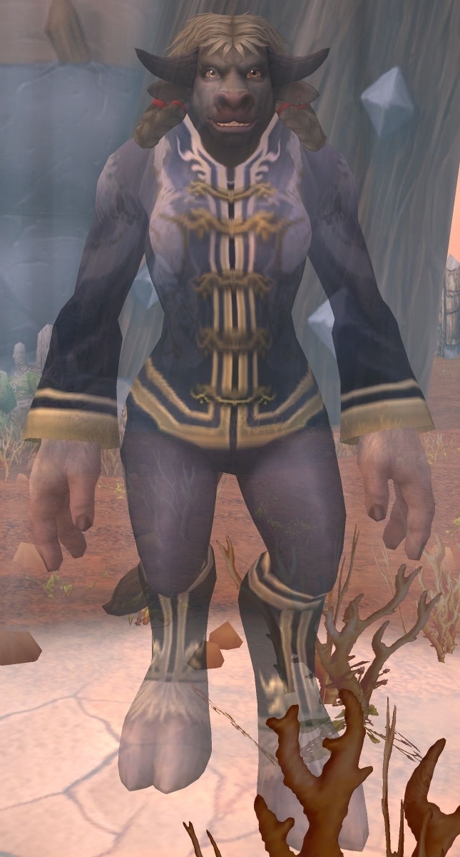 Runetotem the Elder - Quest - World of Warcraft