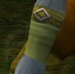 Puños de satén de Lady Anacondra - Objeto - World of Warcraft