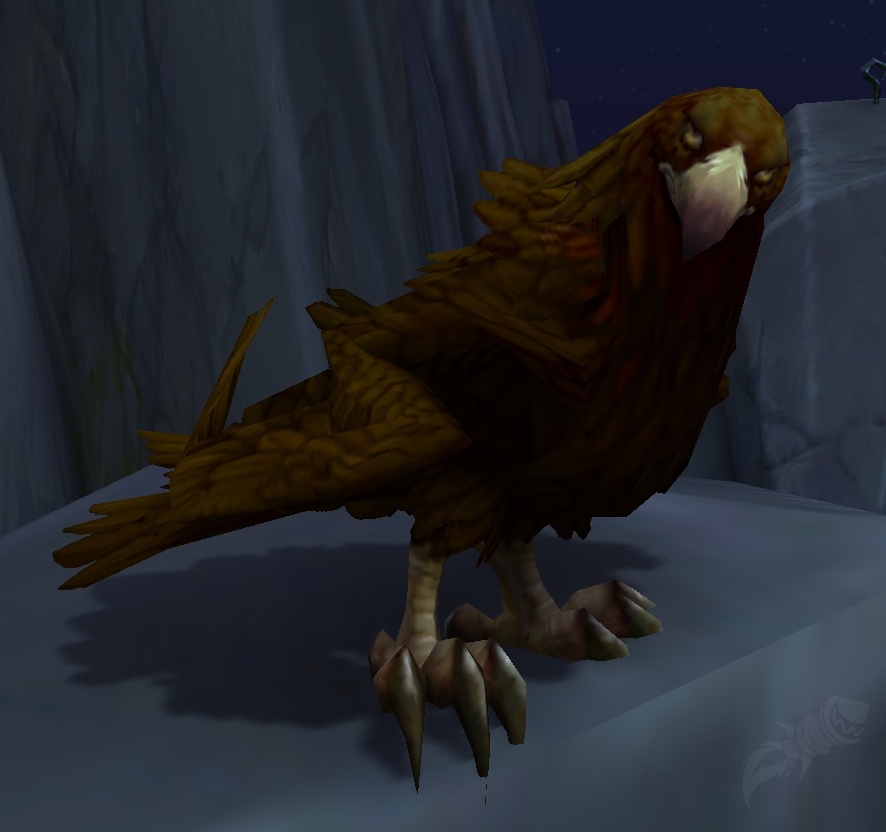 Cliffdiver Eagle - NPC - World of Warcraft