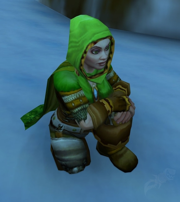 Wounded Militia - NPC - World of Warcraft