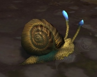Buccino de mar somero - PNJ - World of Warcraft