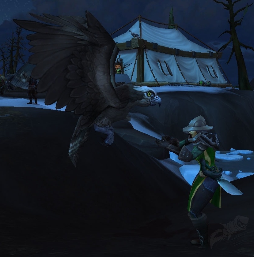 Greystone Falconer - NPC - World of Warcraft