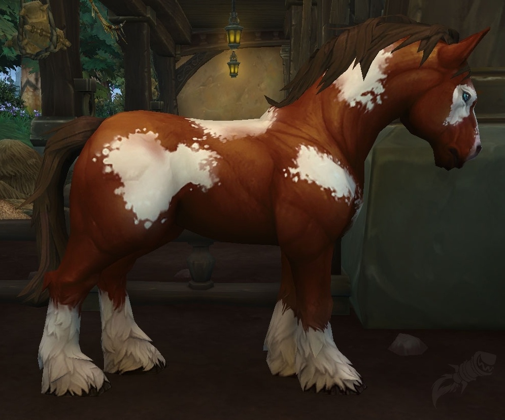 Magoo - NPC - World of Warcraft