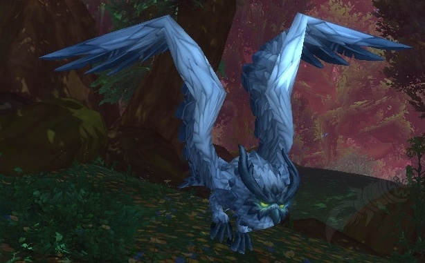 Pygmy Owl - NPC - World of Warcraft