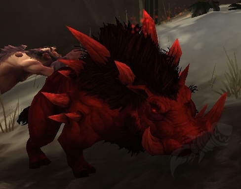 Tamed Boar - NPC - World of Warcraft